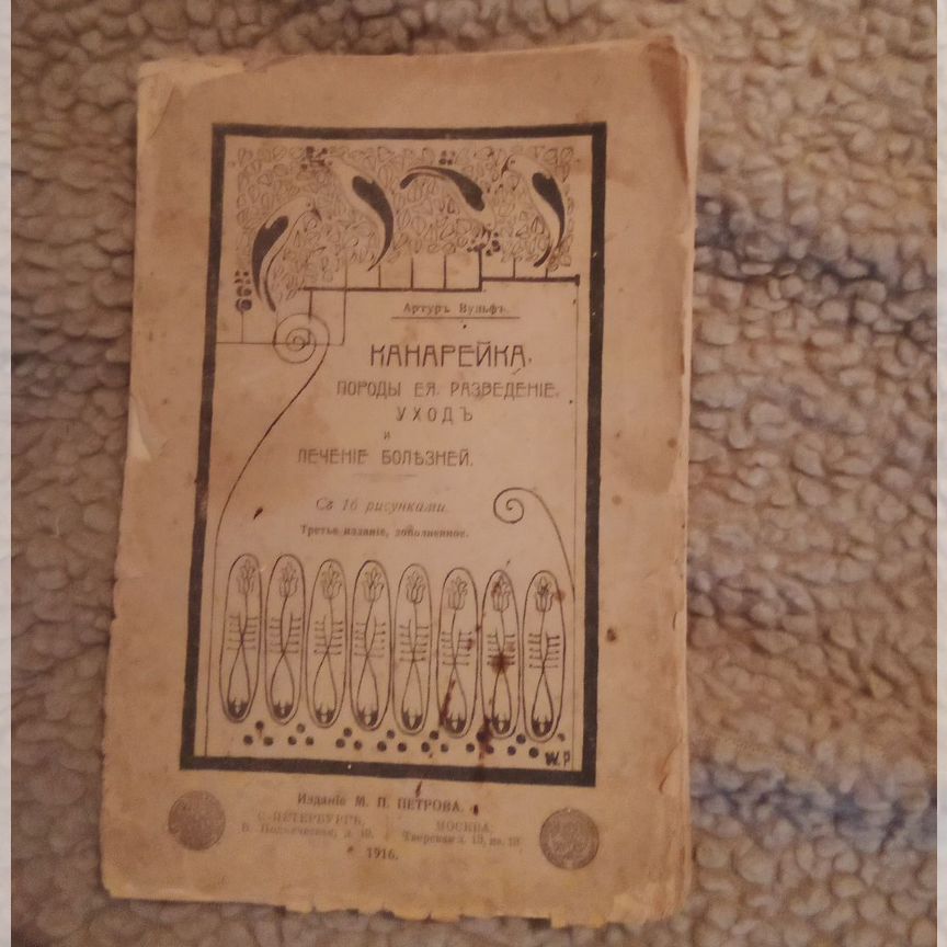 Канарейка породы Ея, разведение и уход,1916 год