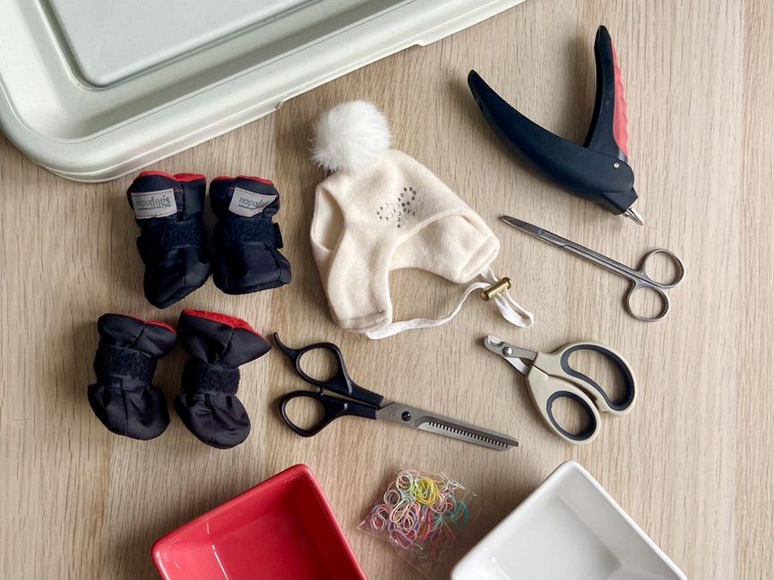 Вещи для маленьких собак