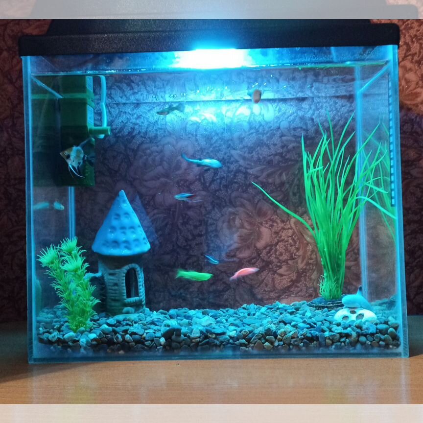 Аквариум 20 литров