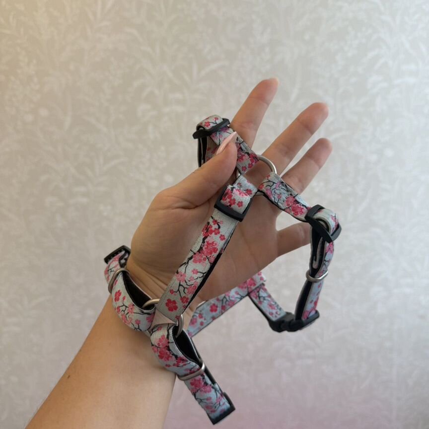 Шлейка на шпица