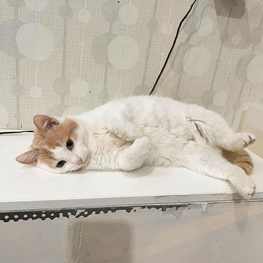 Чудо мальчик 5 мес