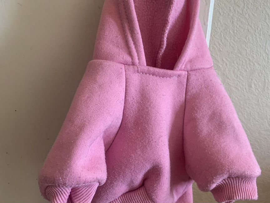 Одежда для собак