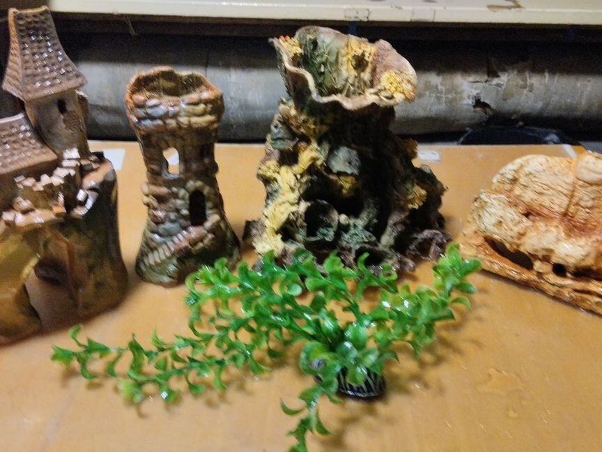 Аквариум и принадлежности для них