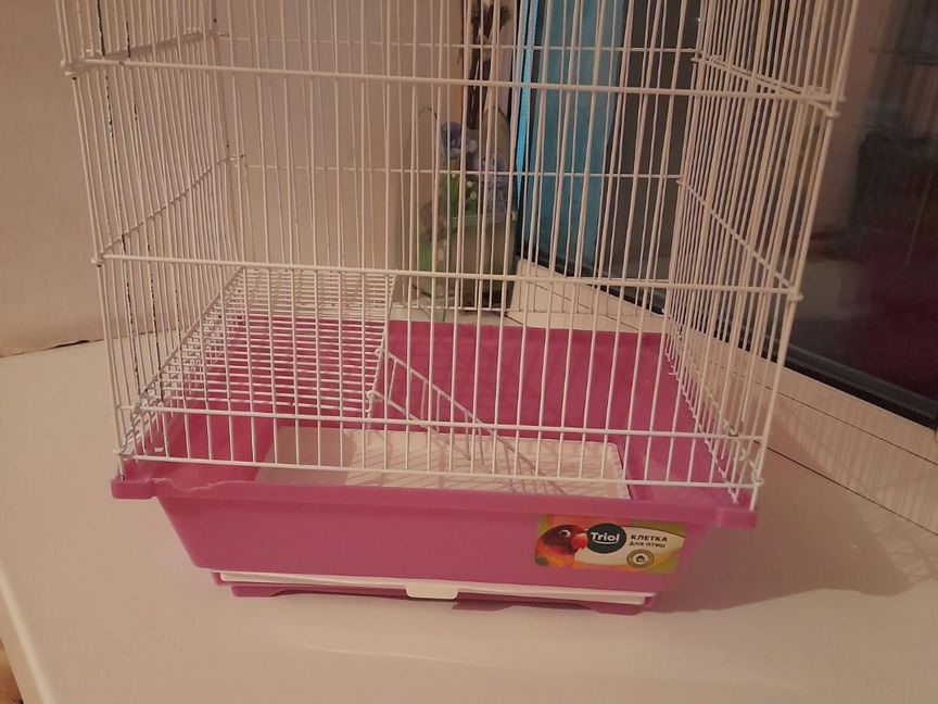 Клетка для грызунов бу