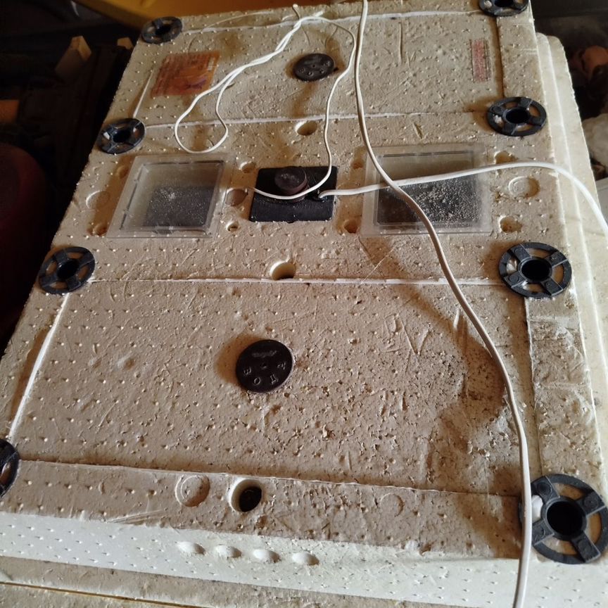 Инкубатор для яиц