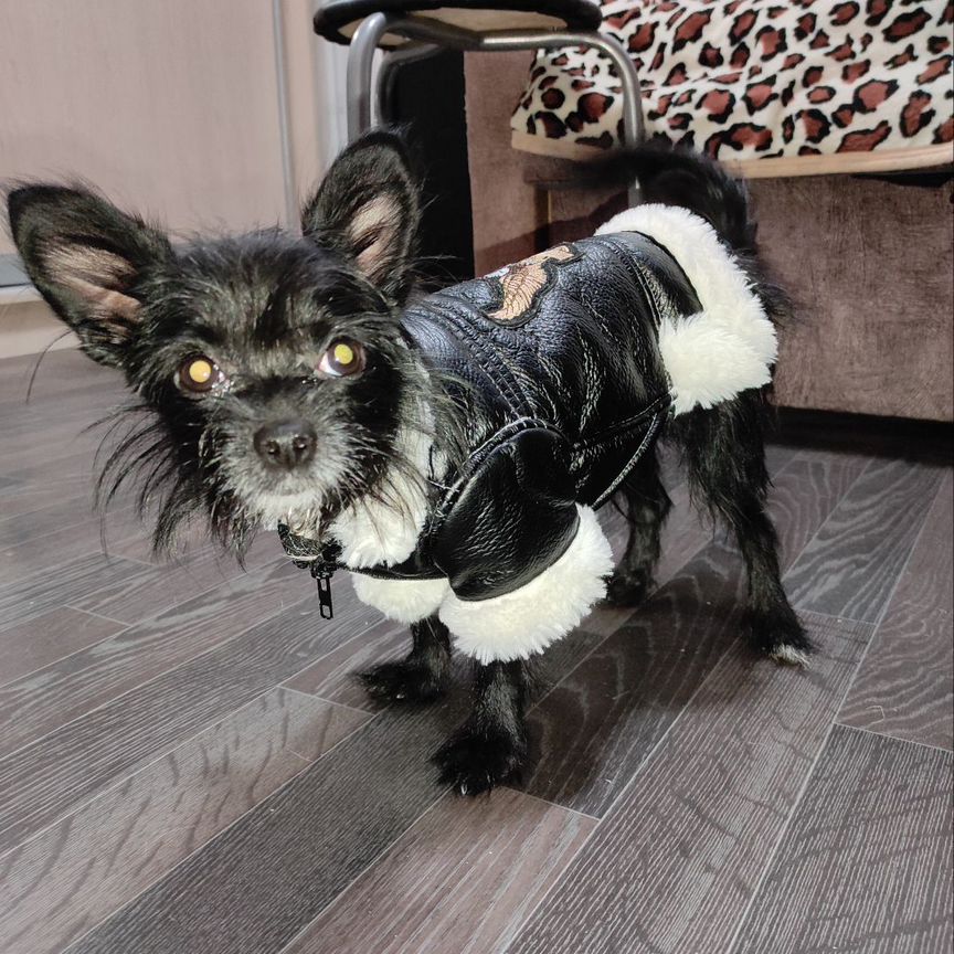 Куртка дублёнка для собак