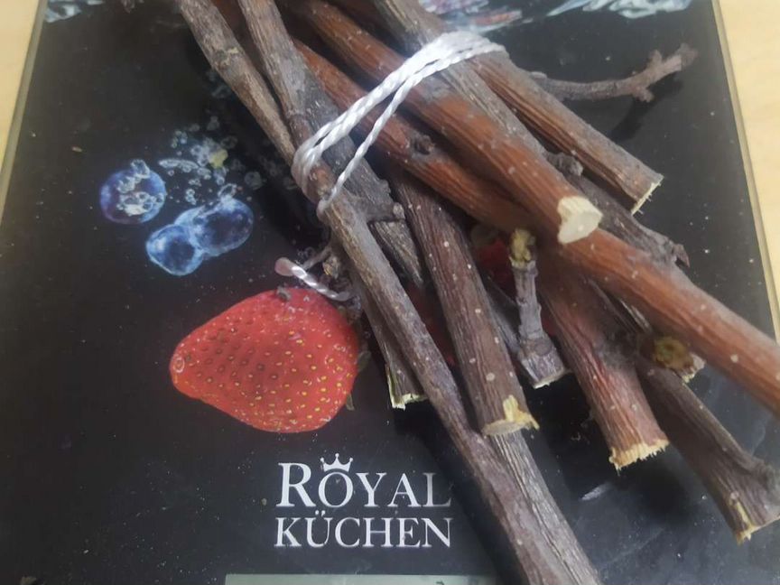 Ветки для грызунов