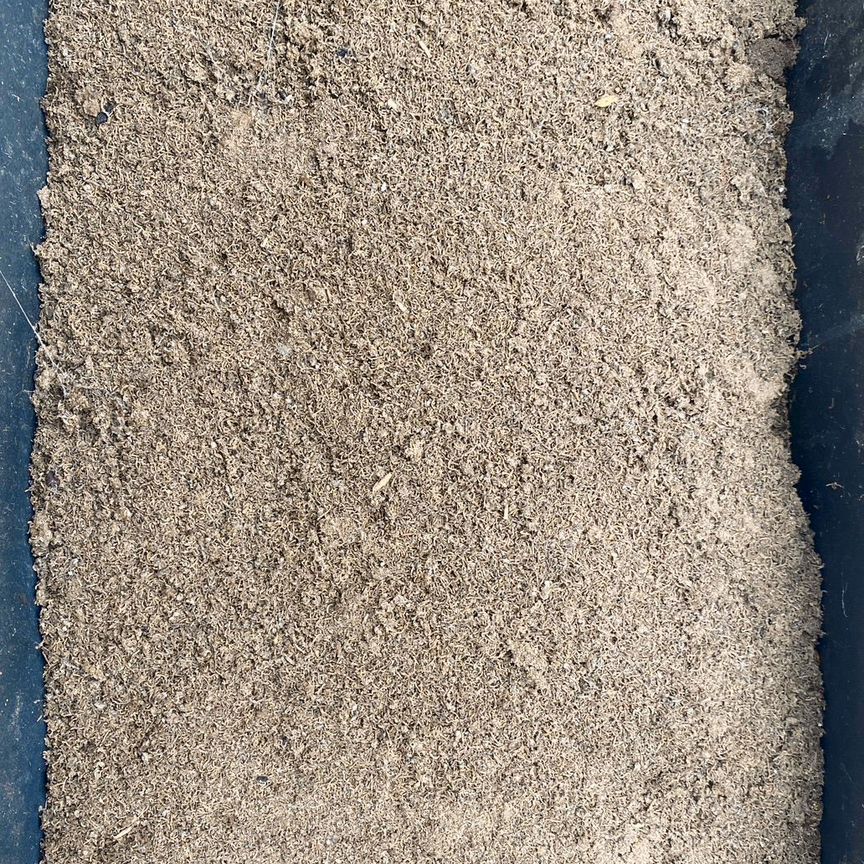 Сухой мотыль