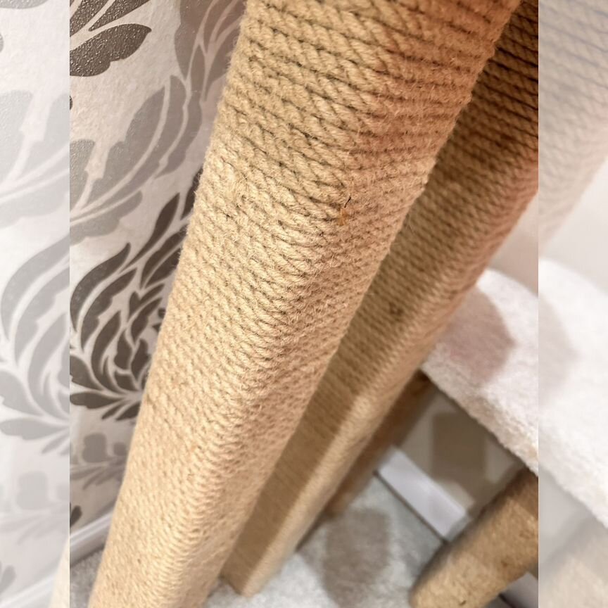 Когтеточка для кошек с лежанкой