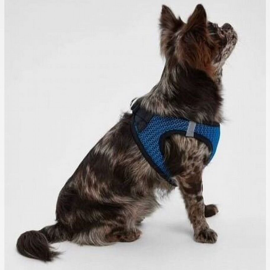 Шлейка-жилетка для собак