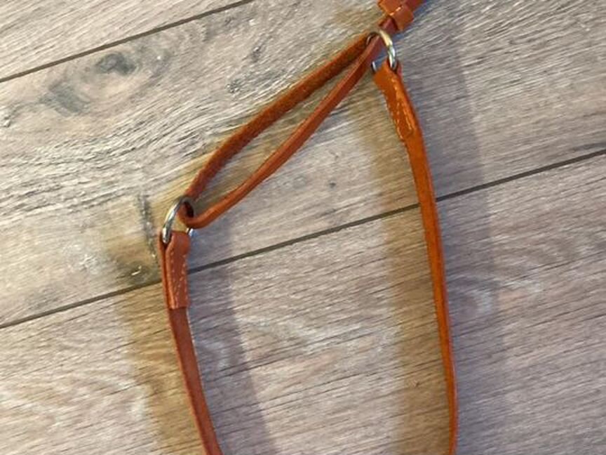 Ошейник поводок кожа