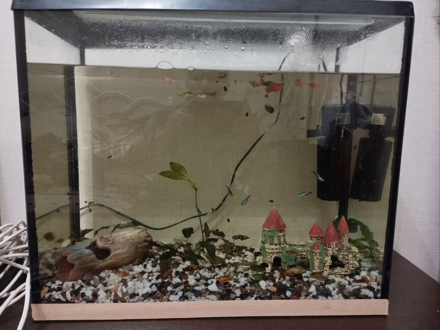 Аквариум с тумбой и рыбками