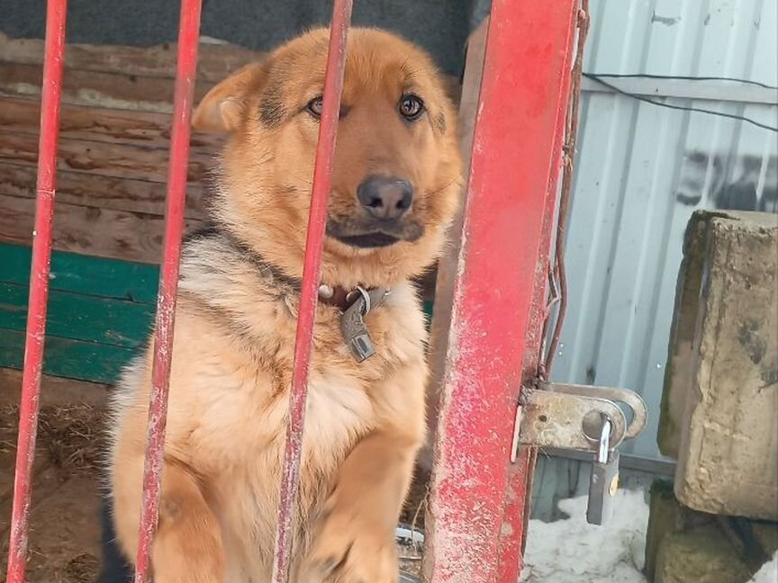 Бесплатно 1 годик