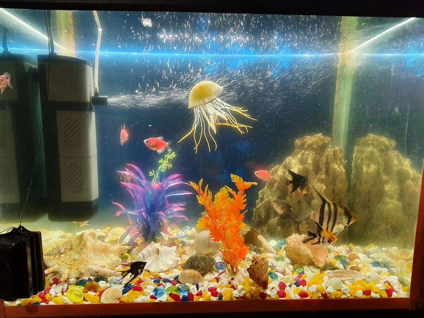 Аквариум 100 литров