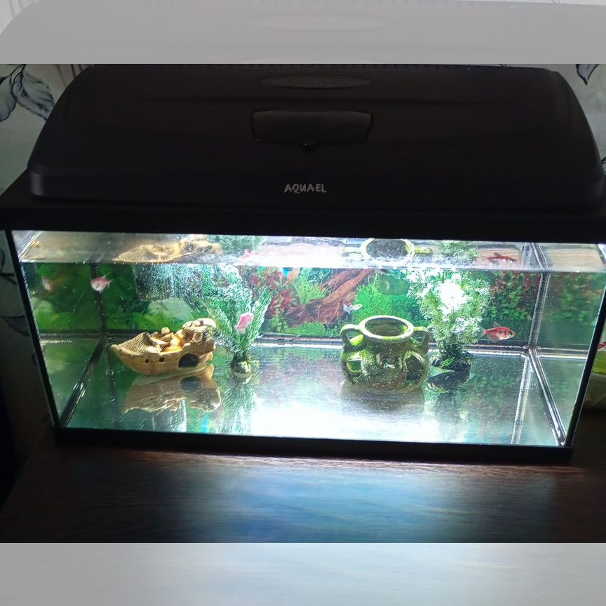 Аквариум с рыбками