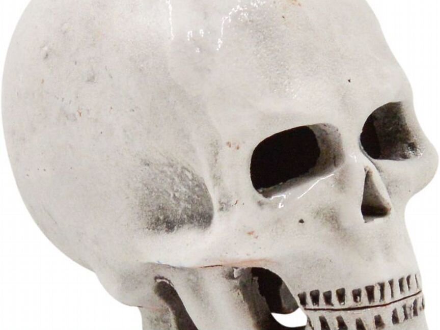 Грот Иж Череп Г4 5*8*6 см