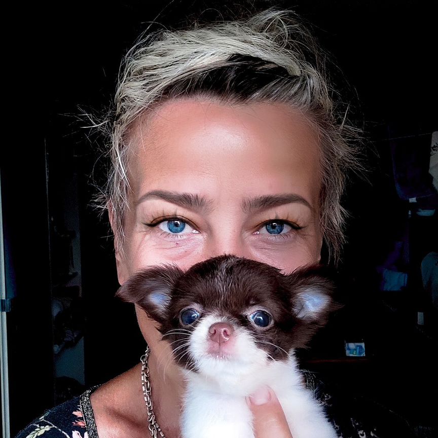 Чихуахуа мини