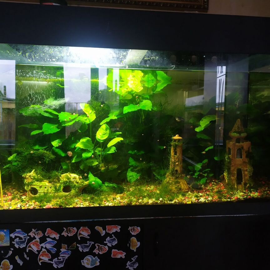 Аквариум с тумбой 225 литров