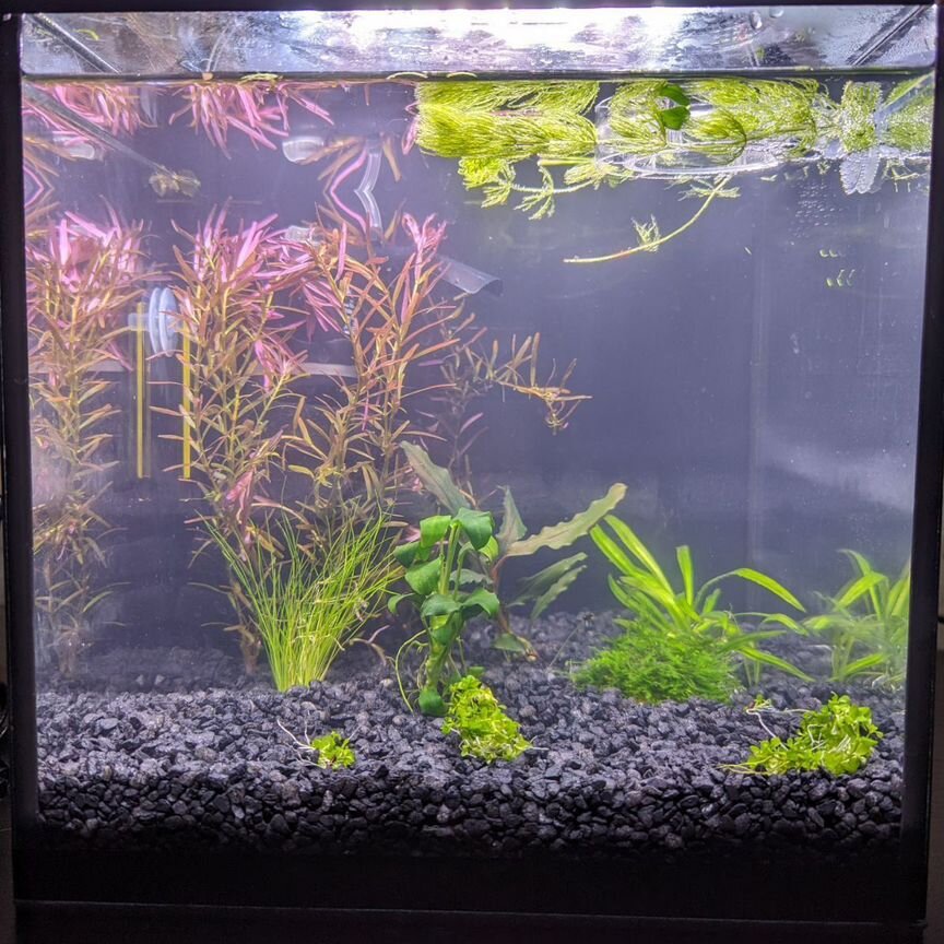 Грунт для аквариума Prime черный 3 - 5 мм 4,9 кг