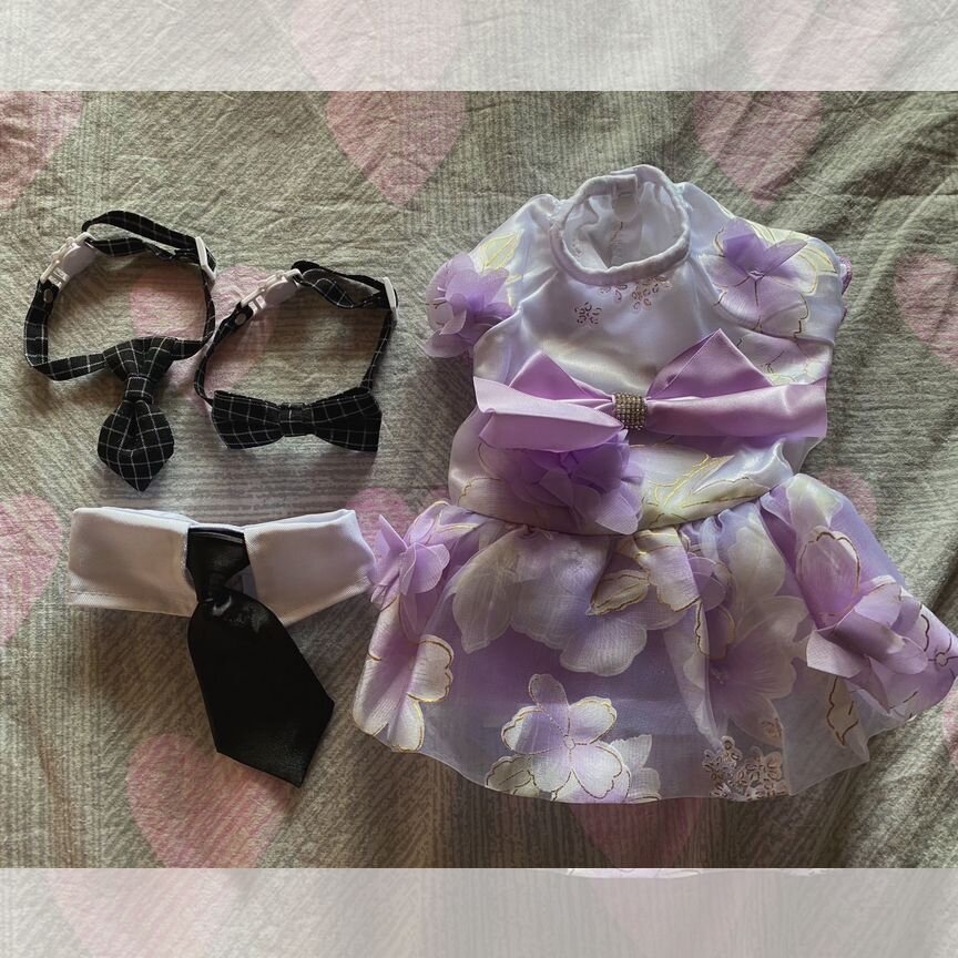 Одежда для животных