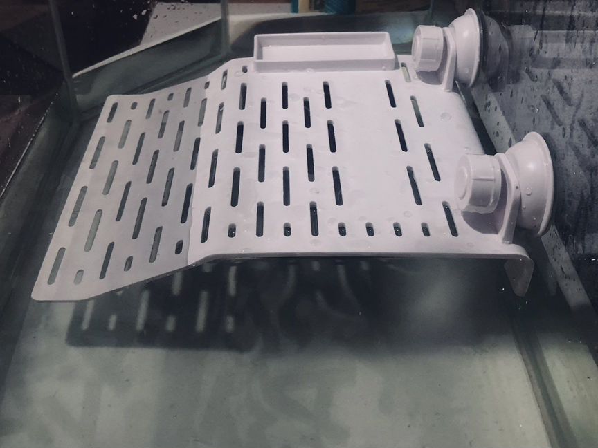 Плот для черепах / мостик