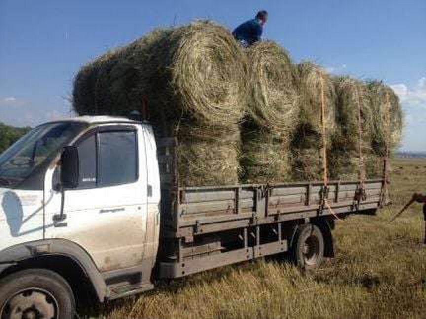 Сено.Солома.Обмен на металлический гараж,еврокубы