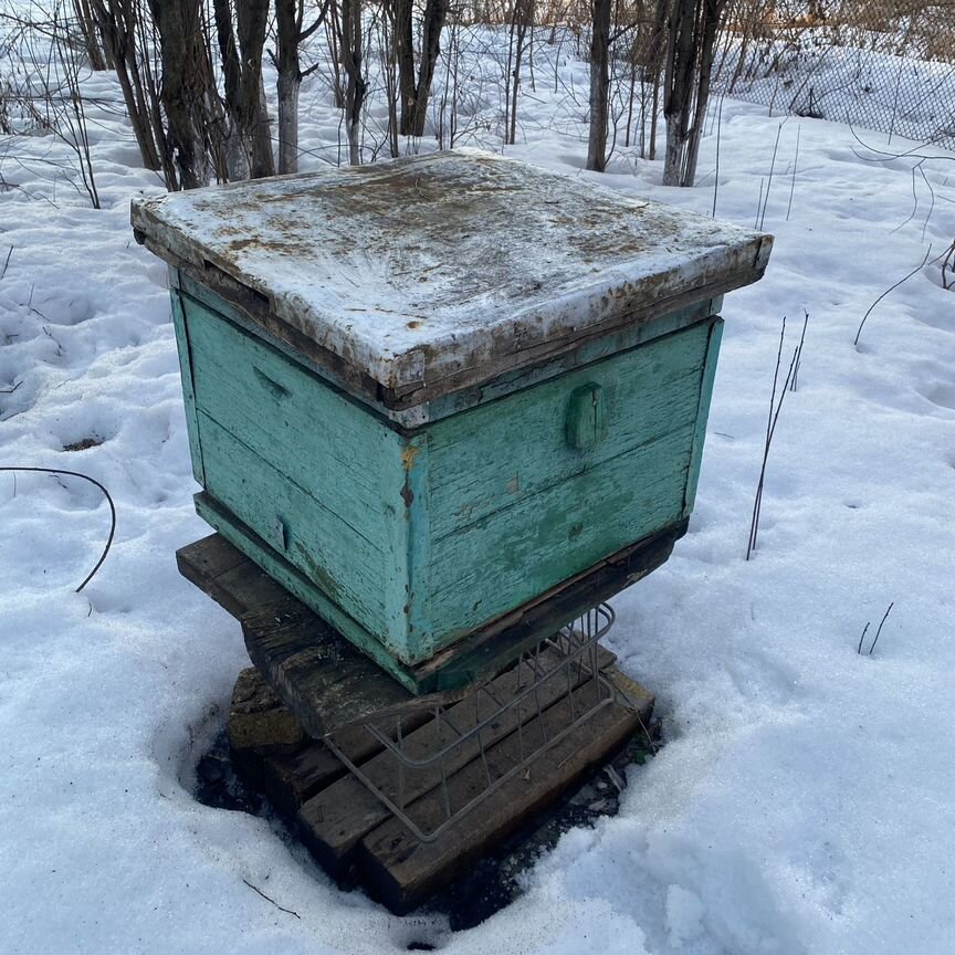 Продам ульи для пчел