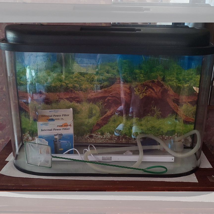 Аквариум с рыбками, фильтром и декором