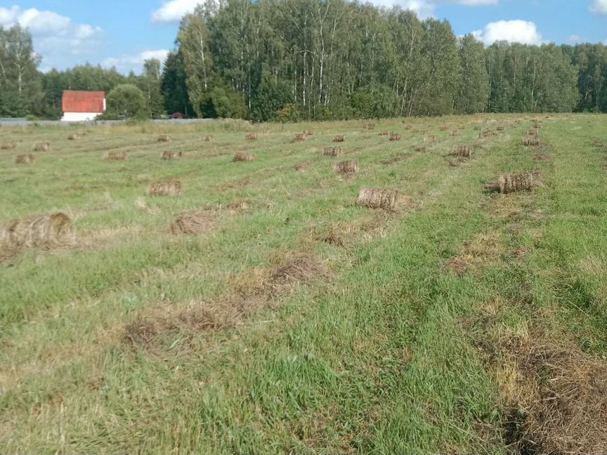 Сено 3-й сорт мини рулоны