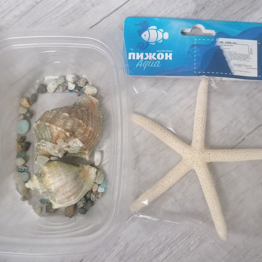 Морская звезда