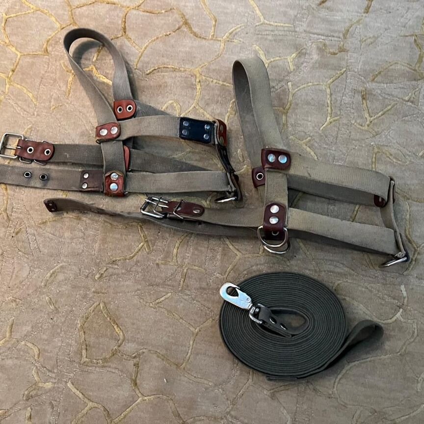 Товары для собаки