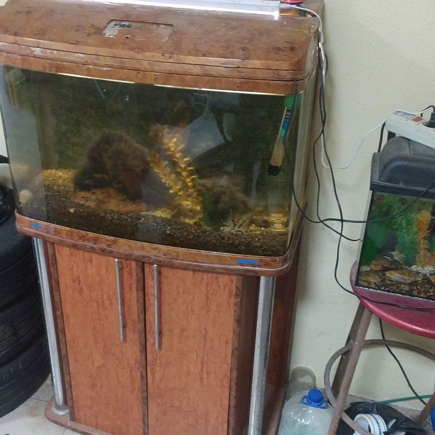 Аквариум с тумбой jebo