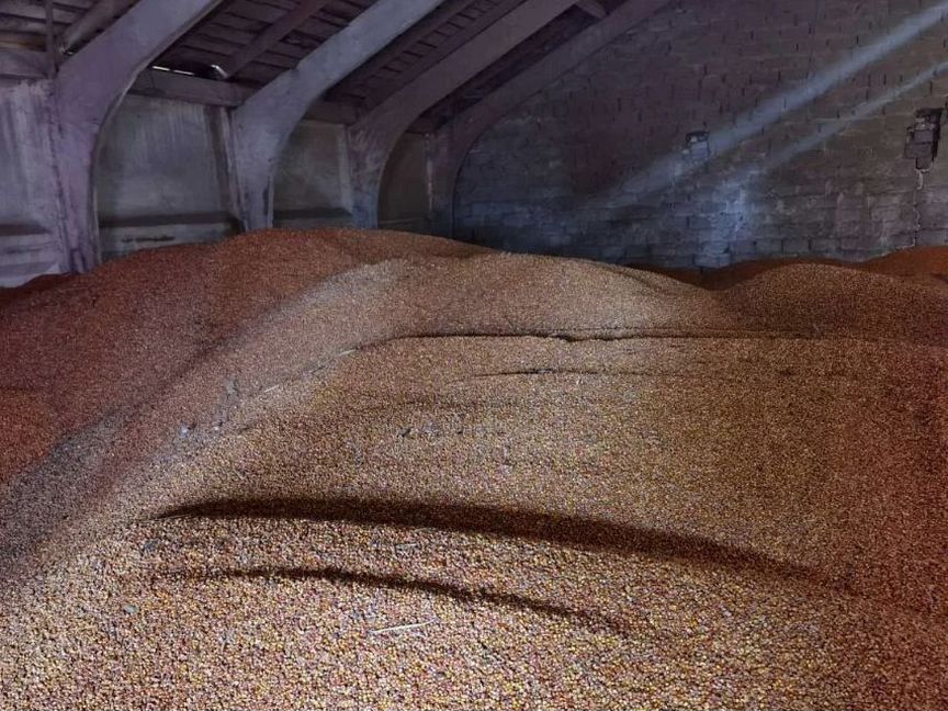 Соя, Соя корма