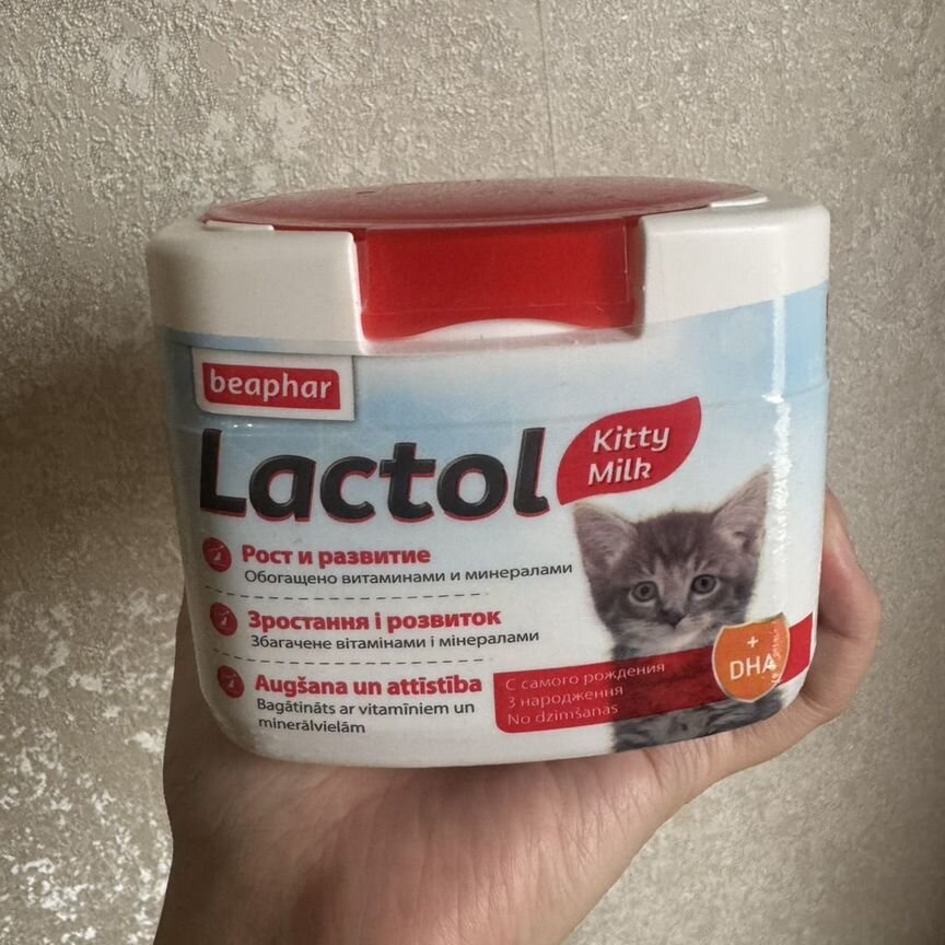 Сухое молоко для котят