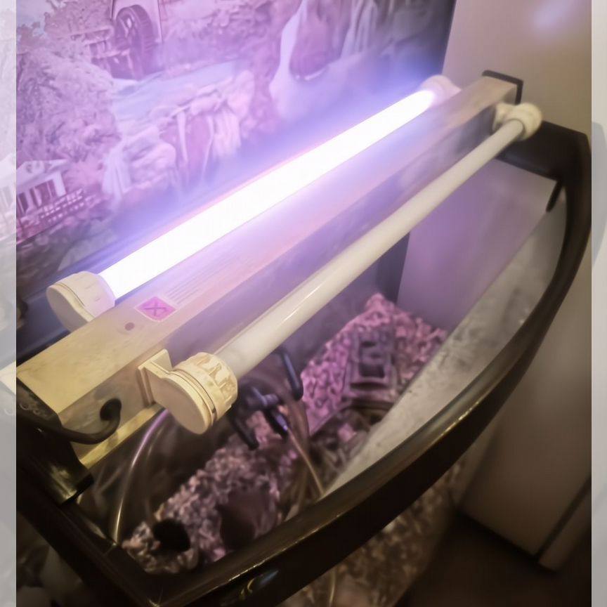 Панорамный аквариум 120л с тумбой (б/у)