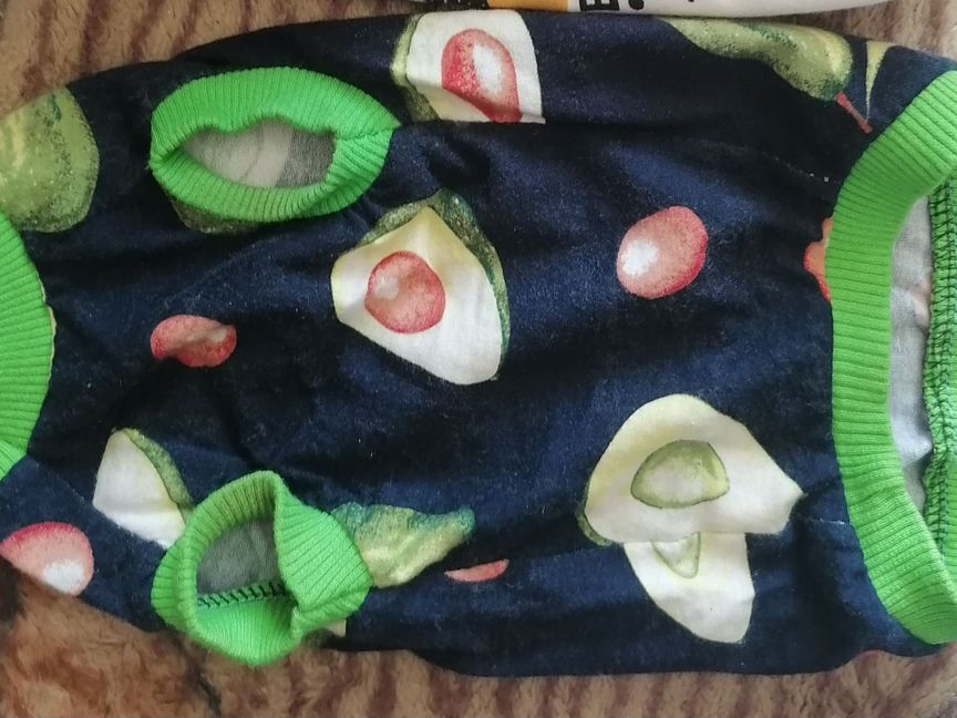 Одежда для кошек сфинкс