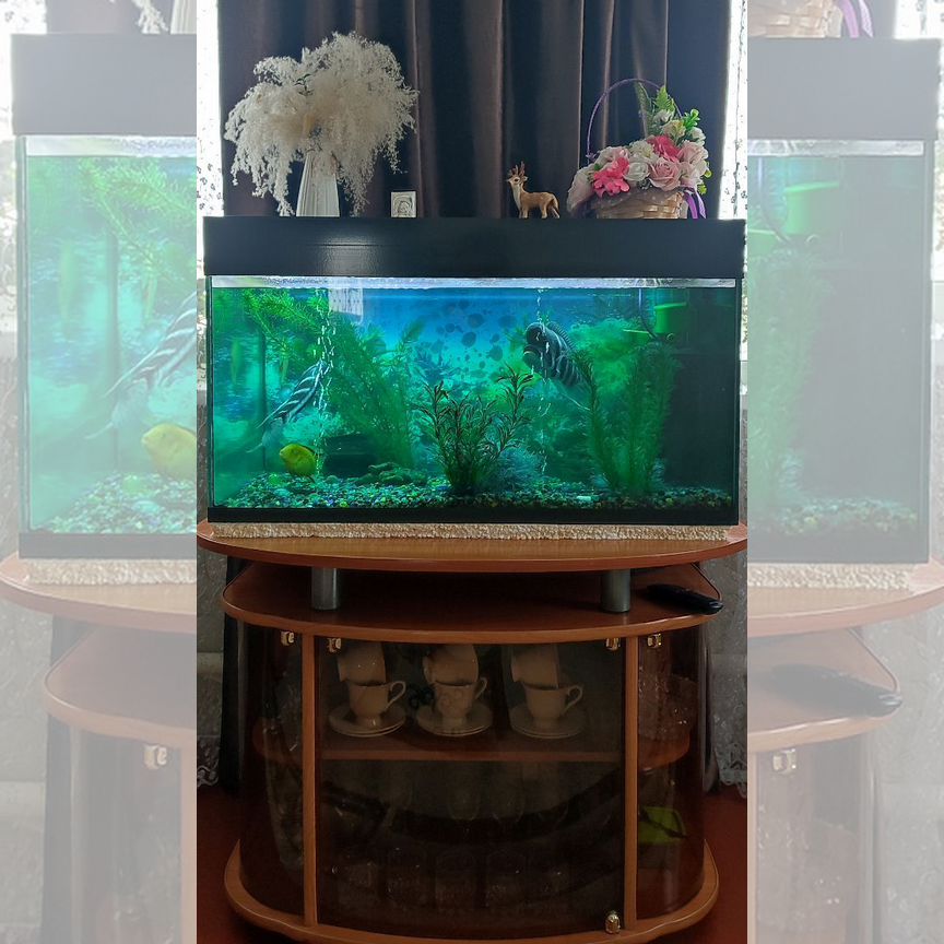 Аквариум с рыбками, грунтом, помпой