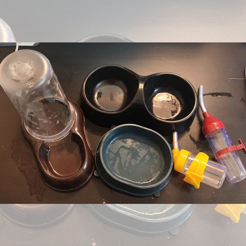 Миски и поилки