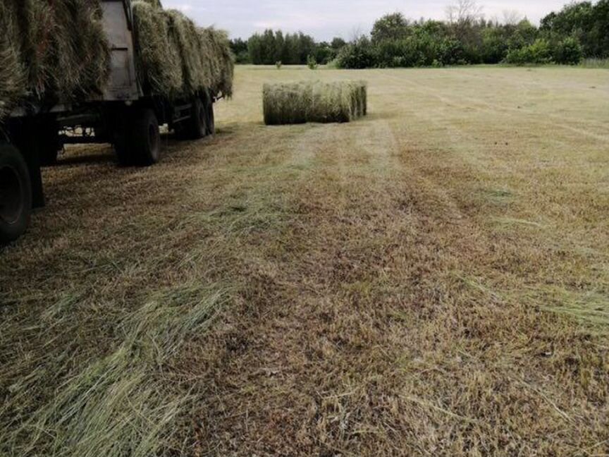 Продаем сено 2023