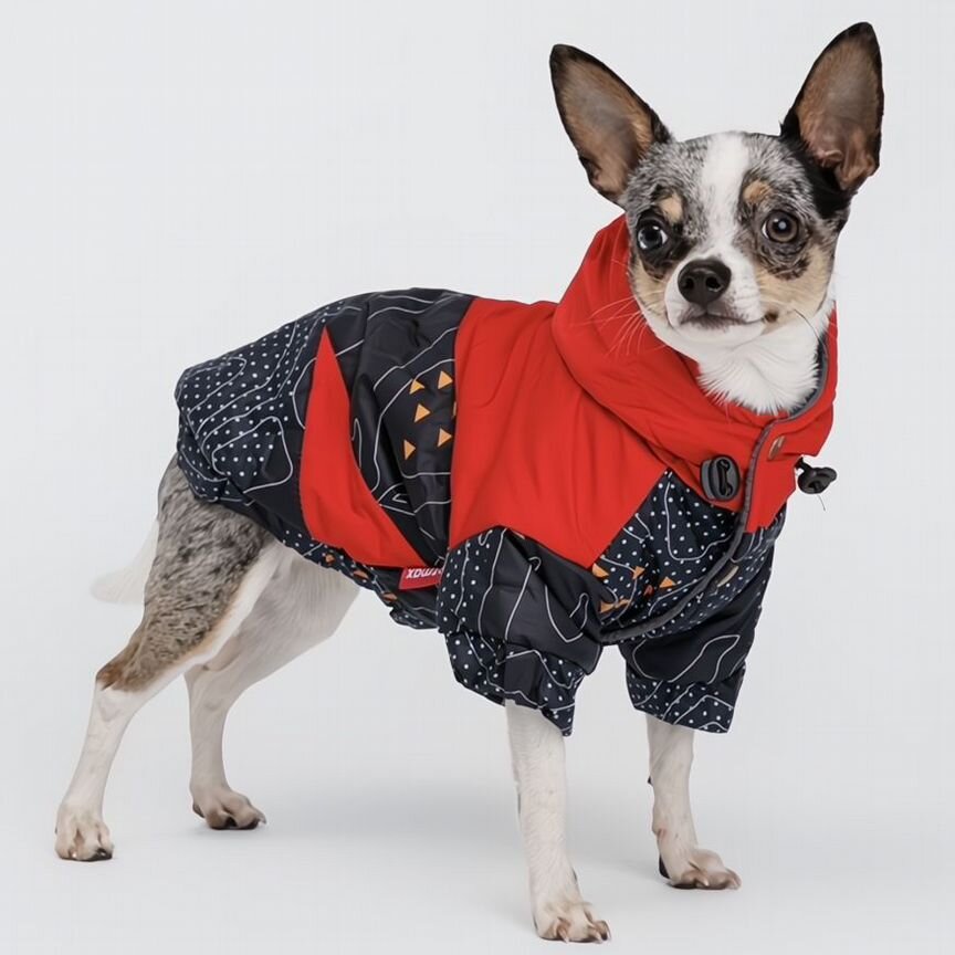 Одежда для маленьких собак