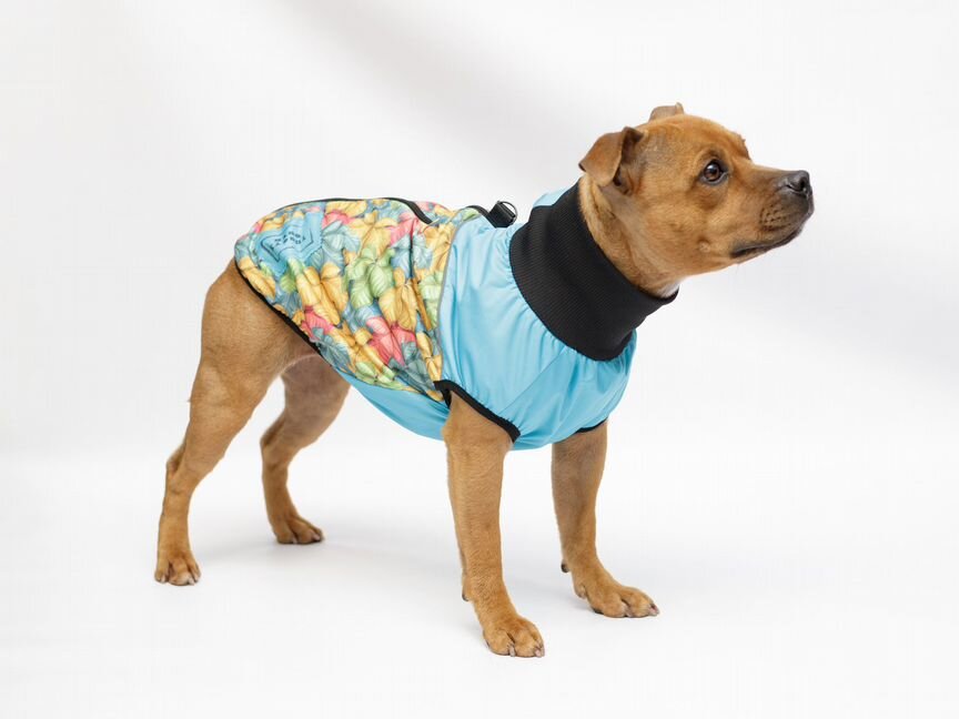 Жилетка для собак