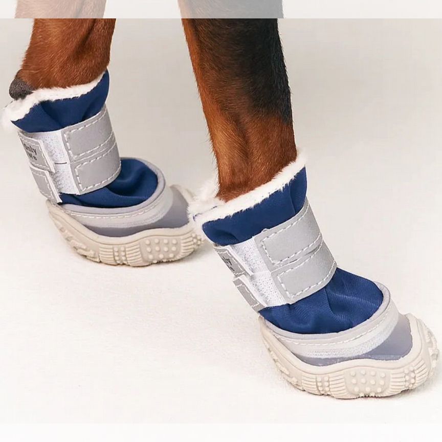 Обувь для собак