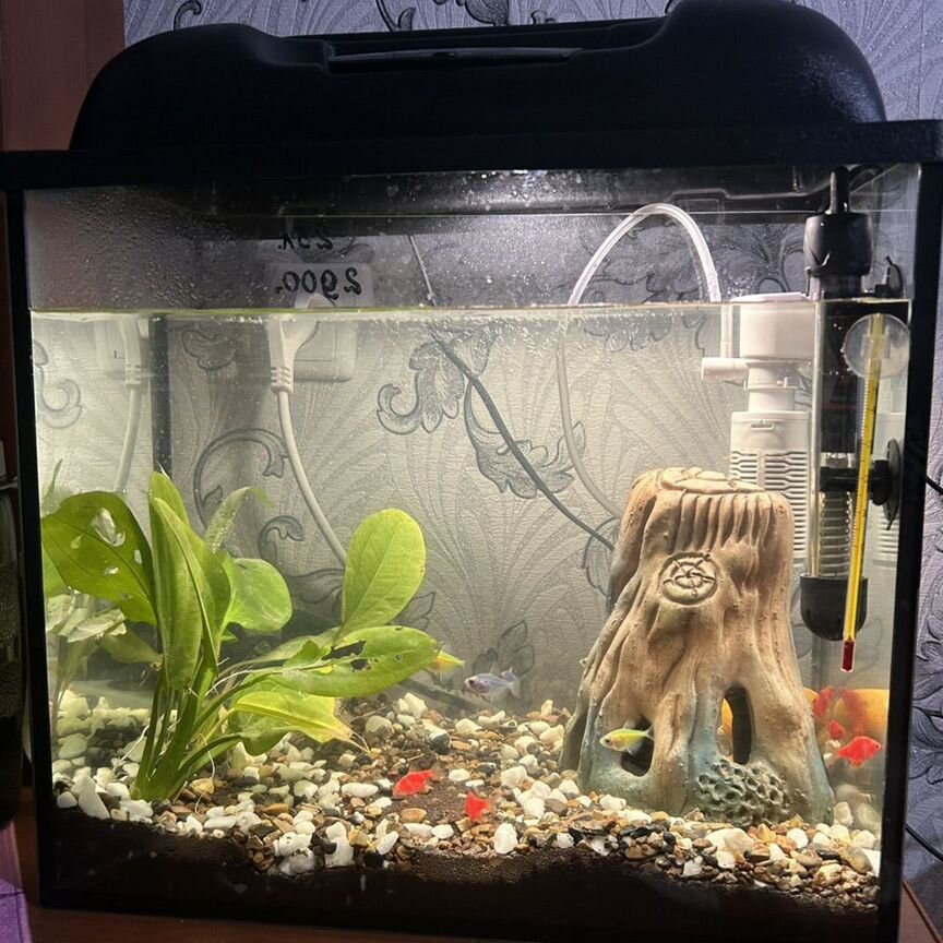 Аквариум 25 литров