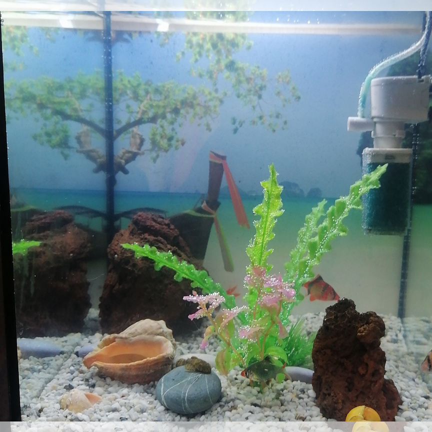 Украшения для аквариума