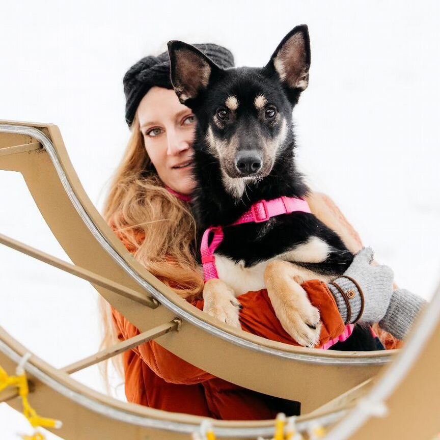 Щенок в добрые руки