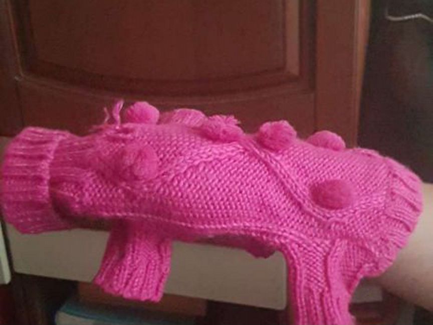 Ожежда для животных