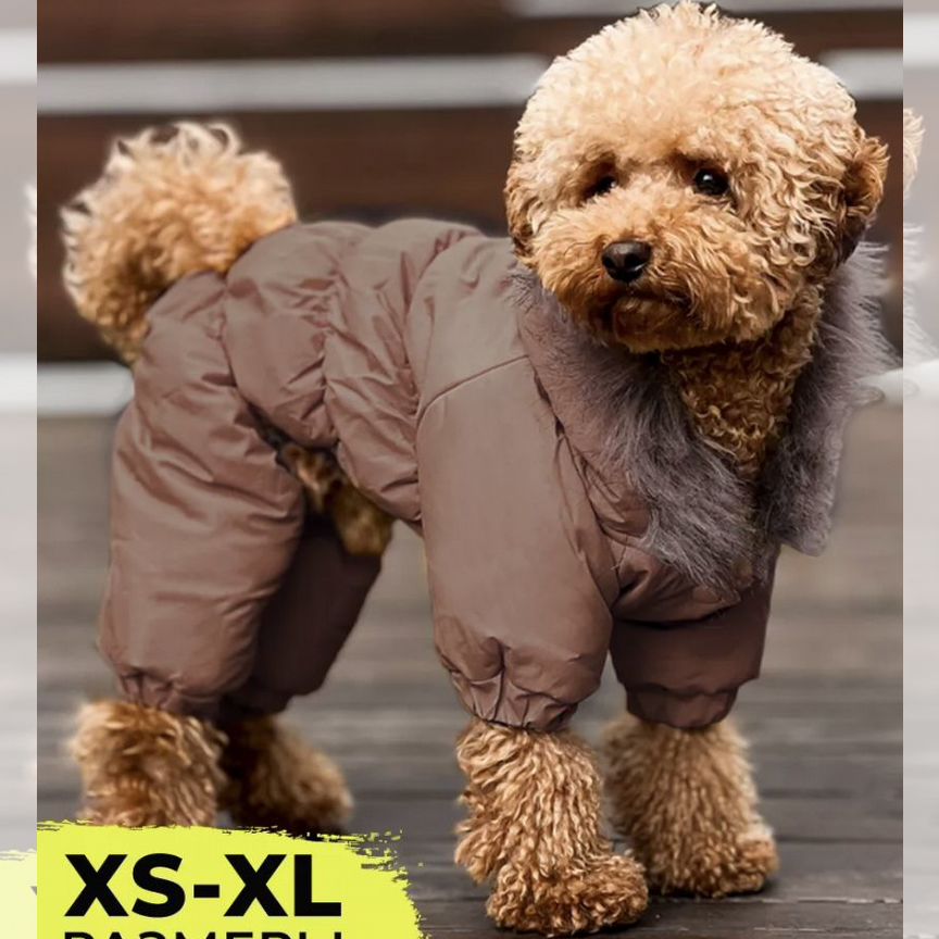 Зимний комбинезон для маленькой собаки