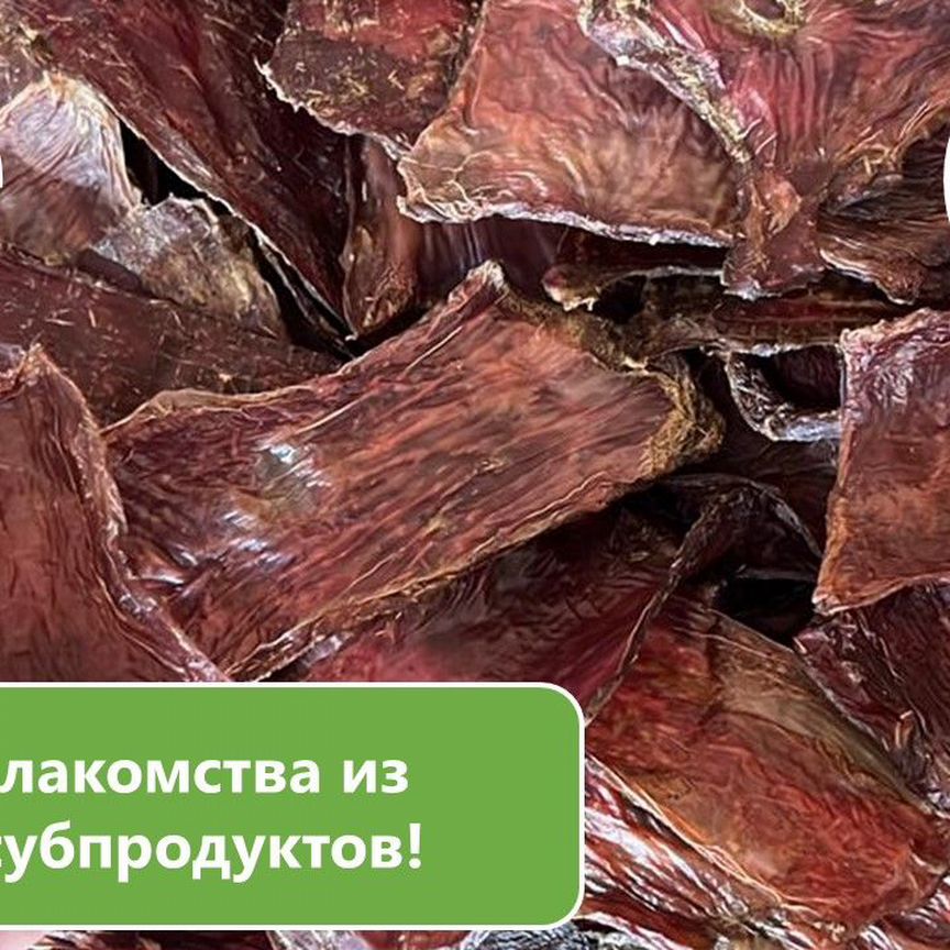 Вкусные сушенные лакомства для собак