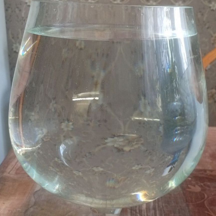 Аквариум рюмка 6 литров