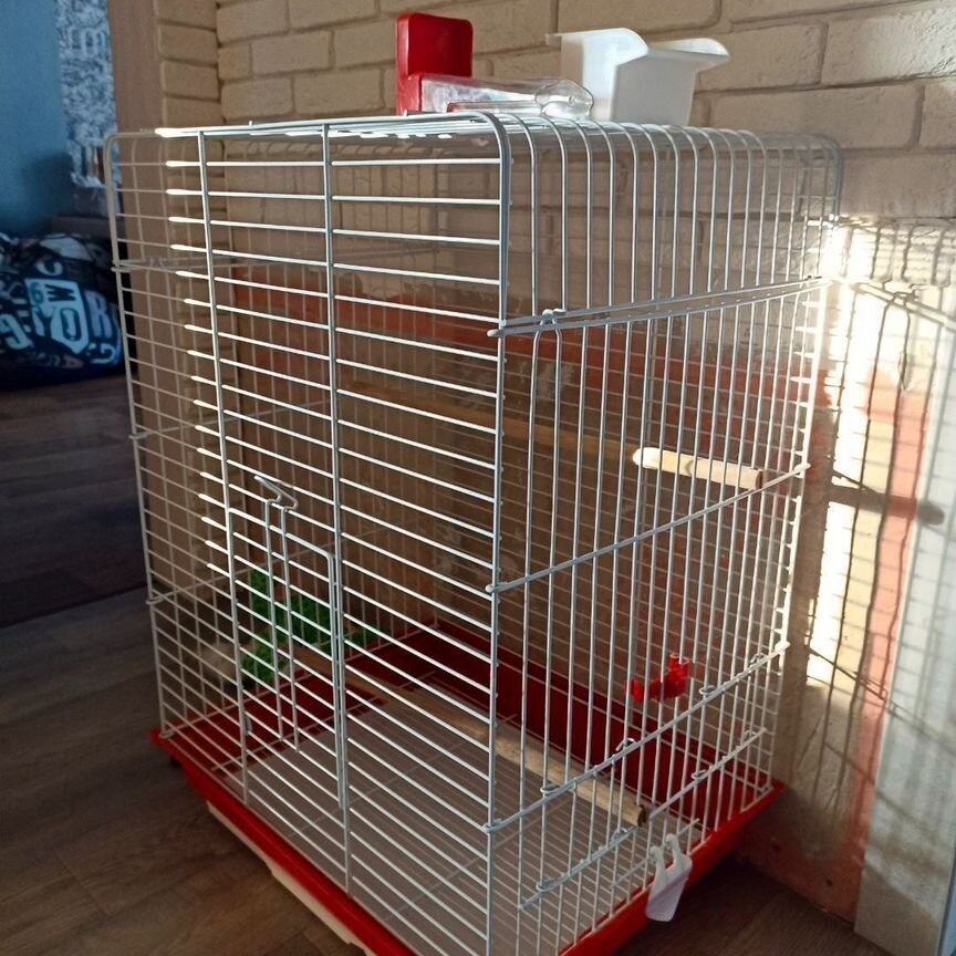 Клетка для попугая, Карелла и волнистик